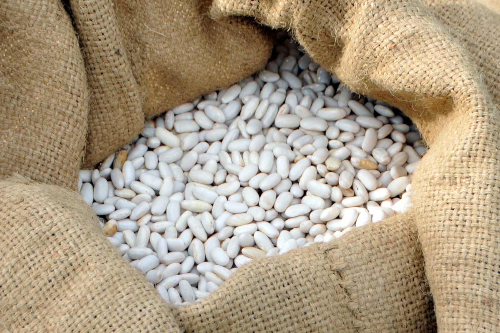 Lingots du Nord au jus - Ça drache en Nord